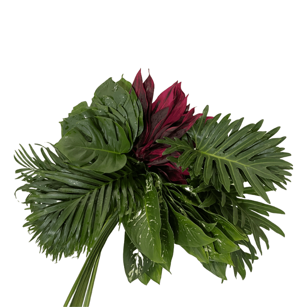 Combo Foliage Amazon of 90 to 280 Stems Lush Tropical Greens