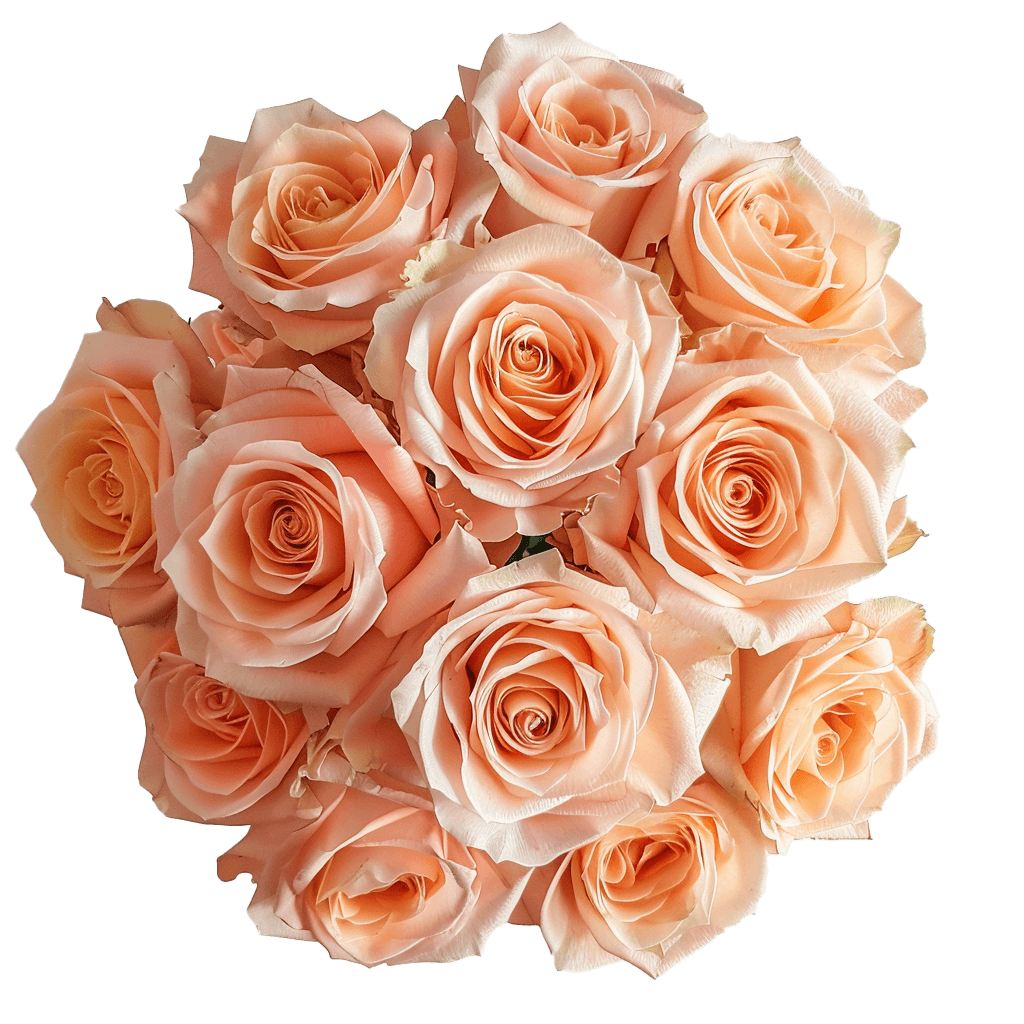 Peach Flowers Ubicaciondepersonas cdmx gob mx