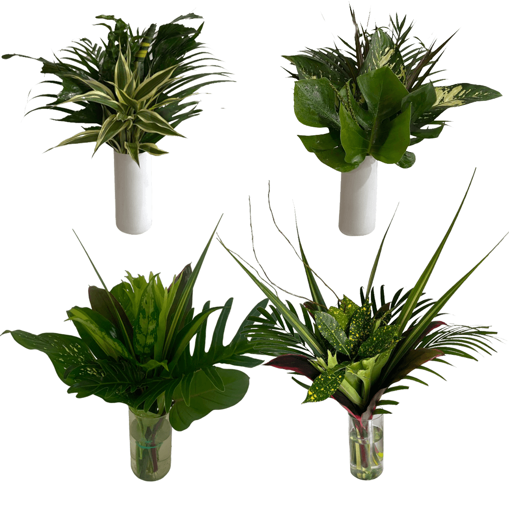 Foliage Round 40 Paradise Tropical Bouquet | GlobalRose