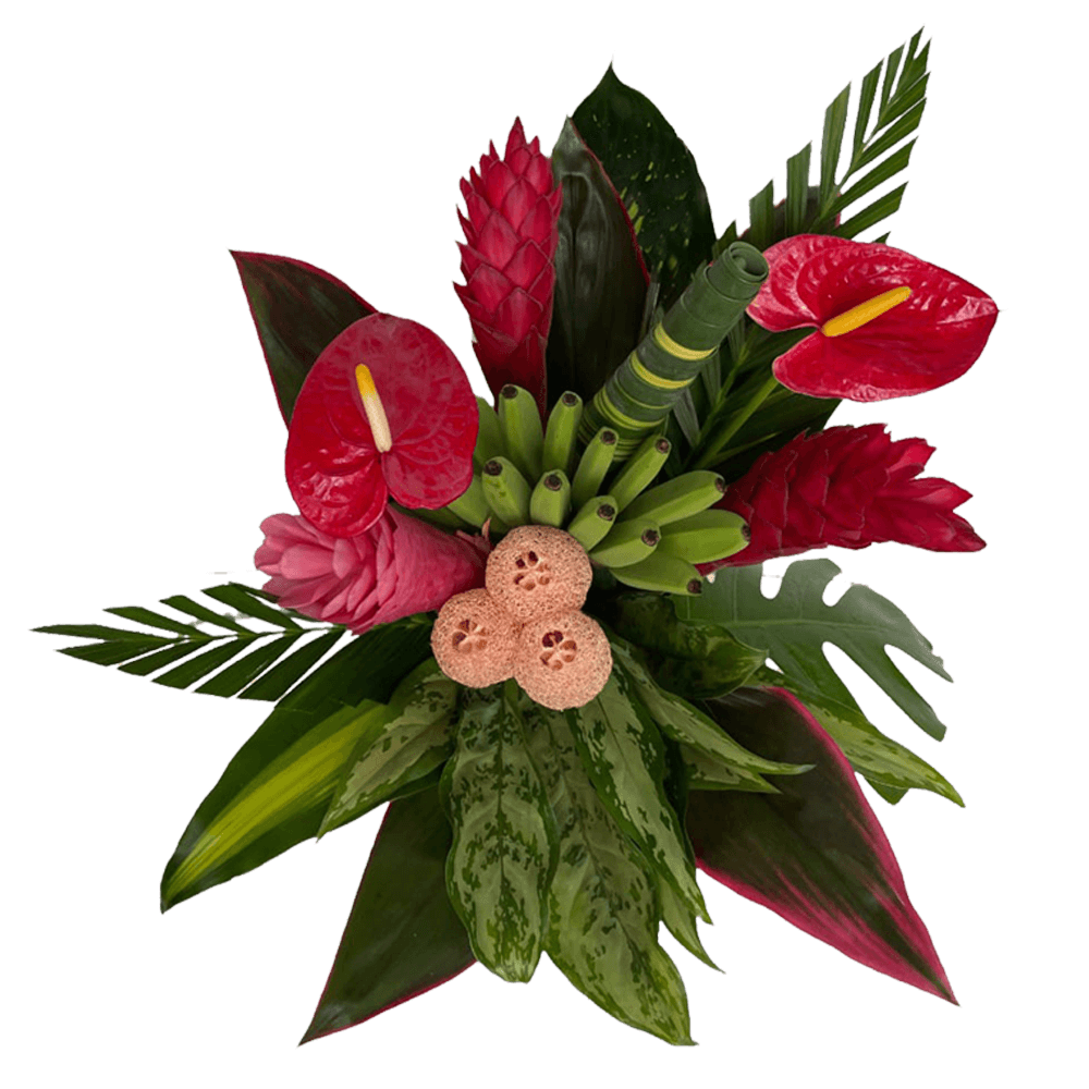 Large Collection Mojito – Tropical Bouquet | Bulk Stems Delivery