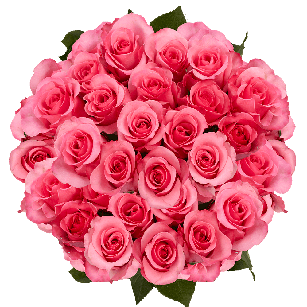 Buy Hot Pink Roses | GlobalRose