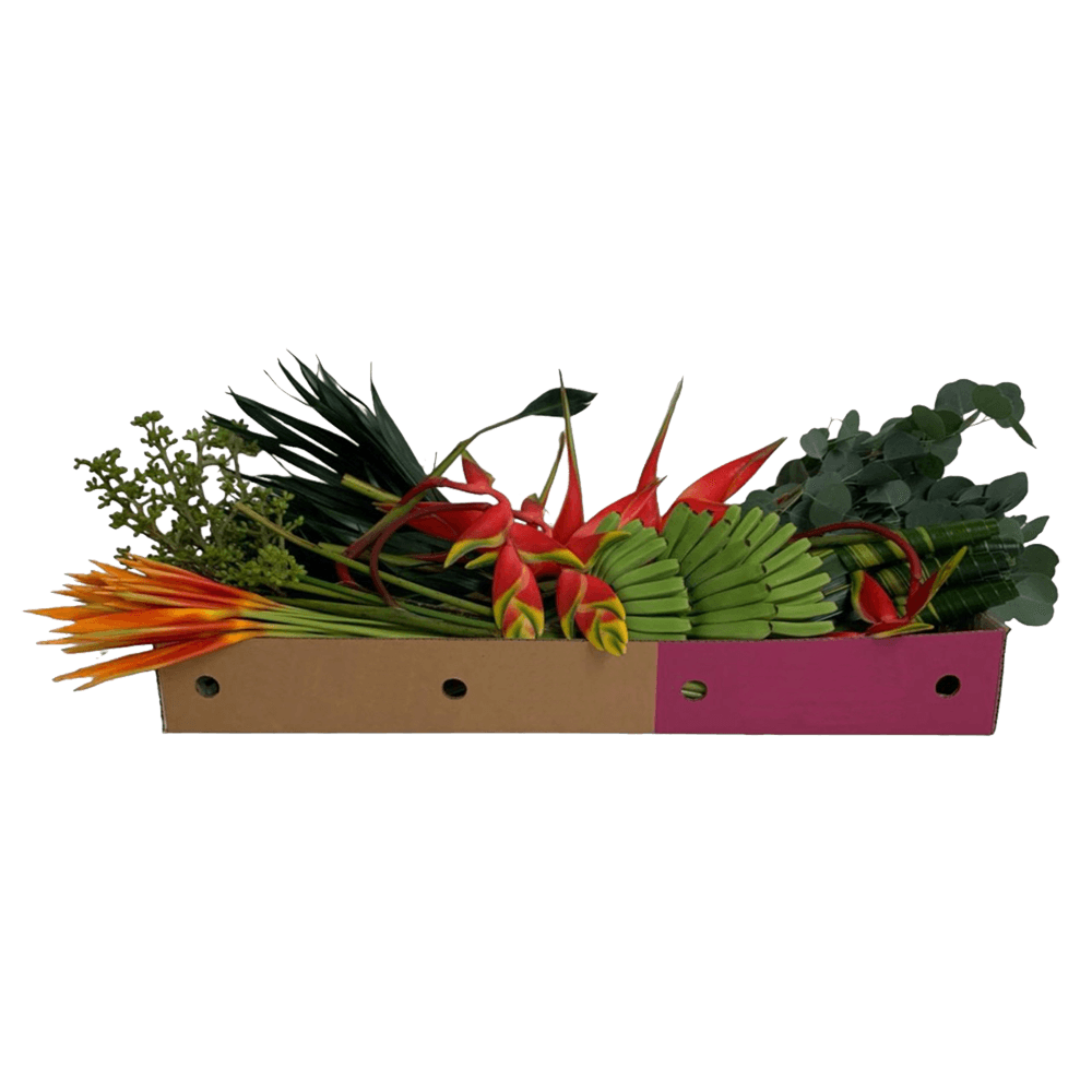 Tiki Limbo Exotic Flowers of 54 to 180 Fresh Stems Delivery
