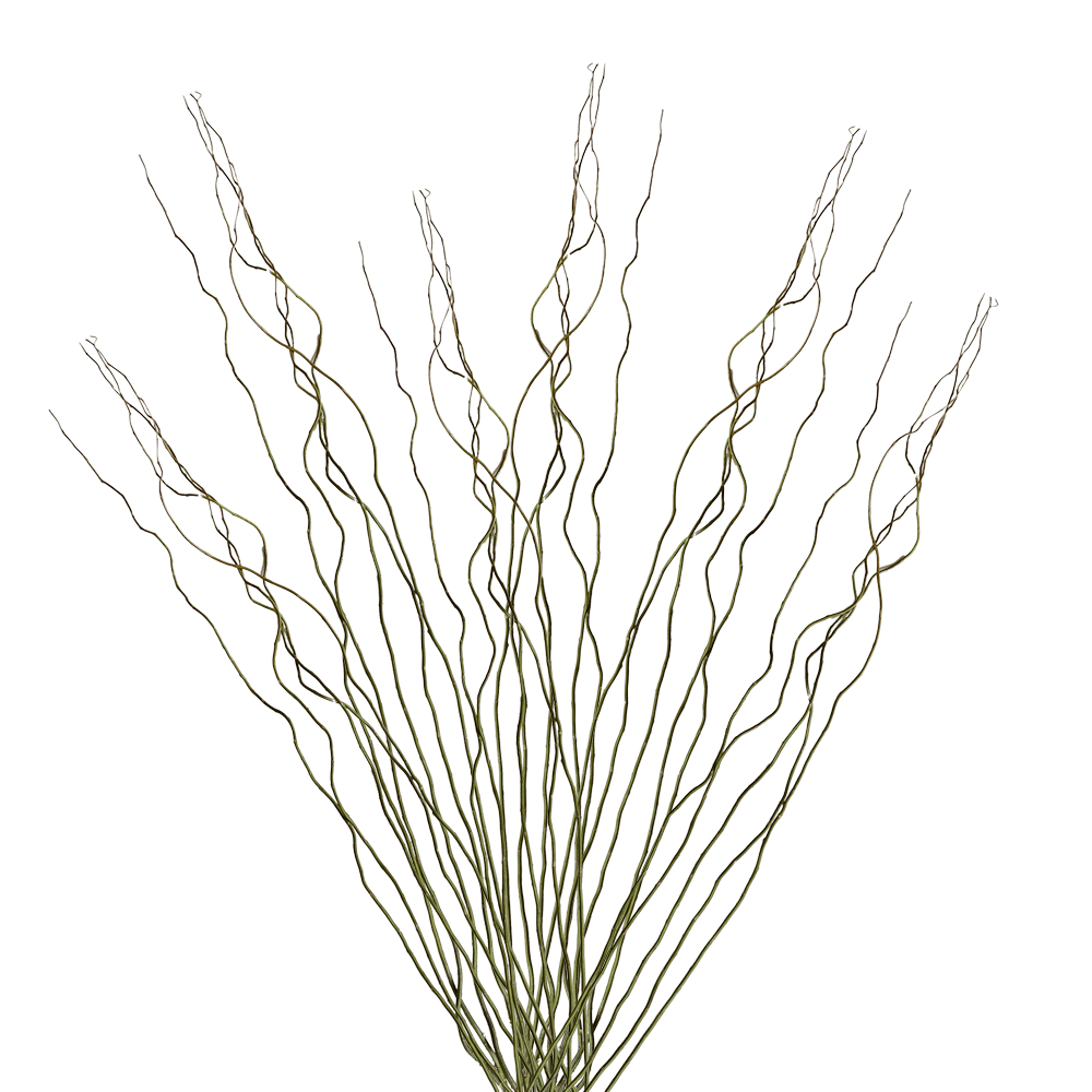 Willow 250 Stems – Bulk Natural Willow Stems for Wedding Centerpieces ...