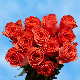 1 Dozen Orange Roses Cheap Fresh Flower Bouquets | GlobalRose