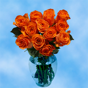 1 Dozen Orange Roses Cheap | GlobalRose