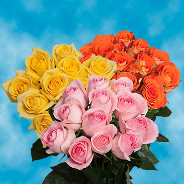 Assorted Dozen Roses | GlobalRose