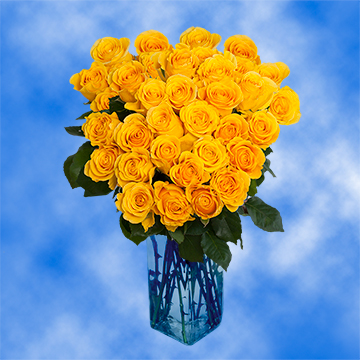 Beautiful Bright Yellow Roses Brighton Rose Variety | GlobalRose