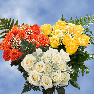 Beautiful Dozens of Assorted Colors of Roses Fillers | GlobalRose