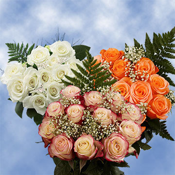 Beautiful Dozens of Assorted Colors of Roses Fillers | GlobalRose