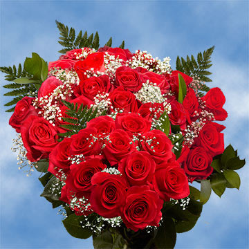 Beautiful Dozens of Red and Assorted Colors of Roses | GlobalRose