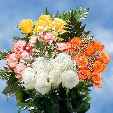 Beautiful Dozens of Red and Assorted Colors of Roses | GlobalRose