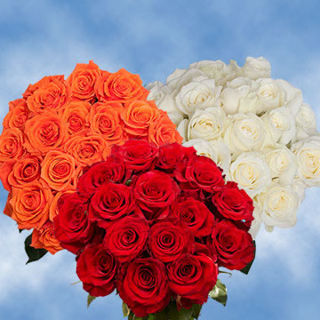 Beautiful Red and Color Roses | GlobalRose