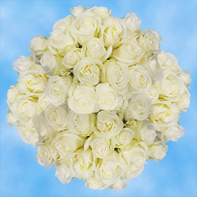 White Roses White Rose Bouquets for Sale | GlobalRose