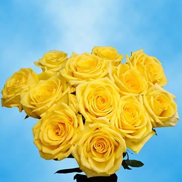 Birthday Yellow Rose | GlobalRose