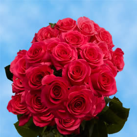 Roses by the Dozen No Hidden Cost | GlobalRose
