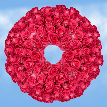 Bright Pink Roses | GlobalRose