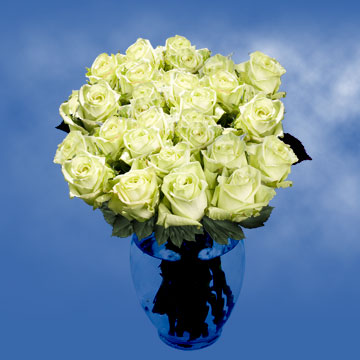 Buy Beautiful Light Green Roses | GlobalRose