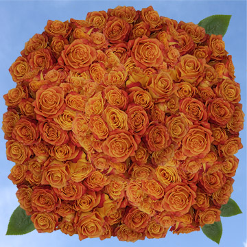 Buy Yellow and Red Silantoy Roses Flowers Online | GlobalRose