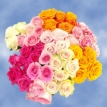 Cheap Roses Delivery | GlobalRose