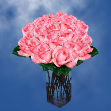 Discount Dark Pink Roses | GlobalRose