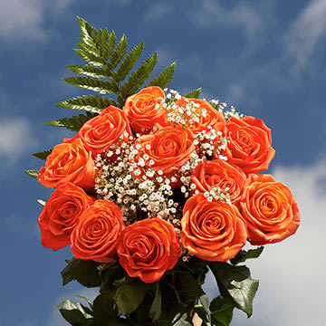 Dozen Roses Orange | GlobalRose