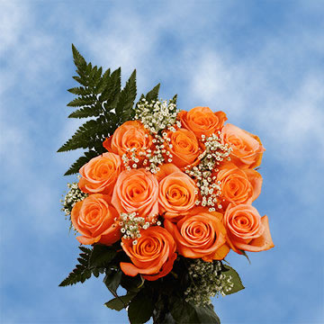 Dozen Roses Orange | GlobalRose