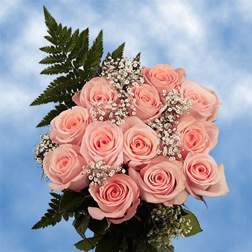Dozen Roses Pink | GlobalRose