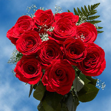 One Dozen Roses Free Delivery | GlobalRose