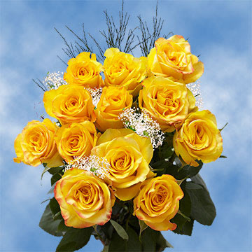 Dozen Roses Yellow | GlobalRose