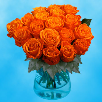 Fresh Bright Orange Roses | GlobalRose