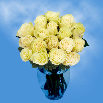 Fresh Bulk Roses White Mondial Roses | GlobalRose
