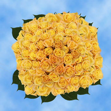 Lemon Yellow Rose | GlobalRose