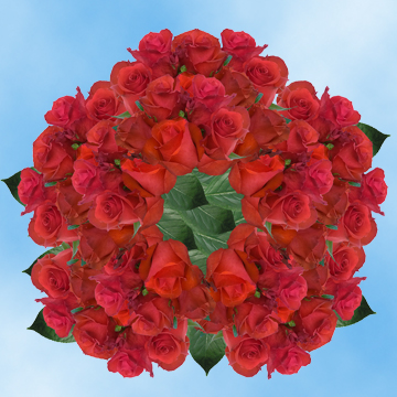 Red Roses Delivery | GlobalRose