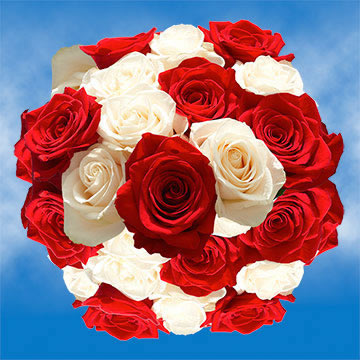 Send Fresh Roses | GlobalRose