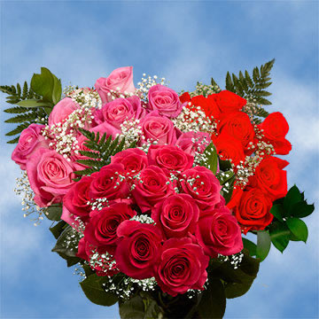 Gorgeous Dozens of Assorted Colors of Roses Fillers | GlobalRose