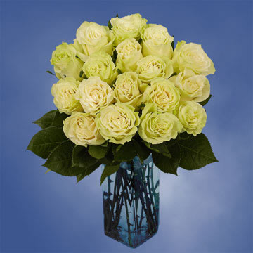 Green Roses Next Day Roses Delivery | GlobalRose