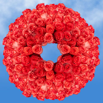 High & Blooming Roses | Global Rose