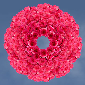 Freshest Roses Every Month of the Year | GlobalRose