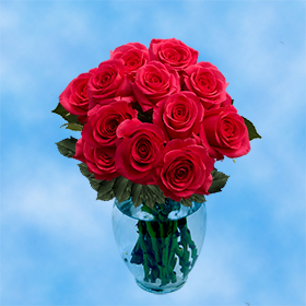 Hot Pink Roses One Dozen Stems Delivered | GlobalRose