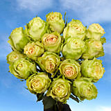 Send Green Chrysanthemum Button Flowers | GlobalRose