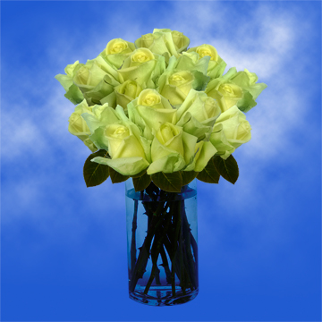Light Green Roses Long Stem Online Discount Roses | GlobalRose