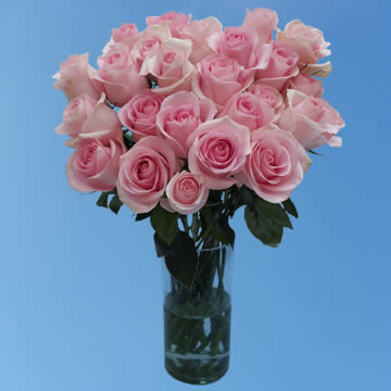 Luciano Roses Light Pink Free Online Delivery | GlobalRose