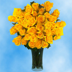 Mail Order Roses Yellow Blooms Valentine's Day Deals | Global Rose