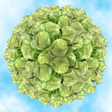 Mint Green Roses Lime Green Wedding Roses for Bouquets | GlobalRose