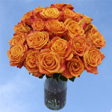 Natural Silantoy Roses Yellow and Red Flowers Online | GlobalRose