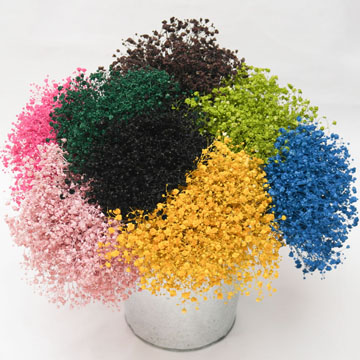 Baby's Breath Gypsophila | Fresh Gypsophila Flowers | GlobalRose