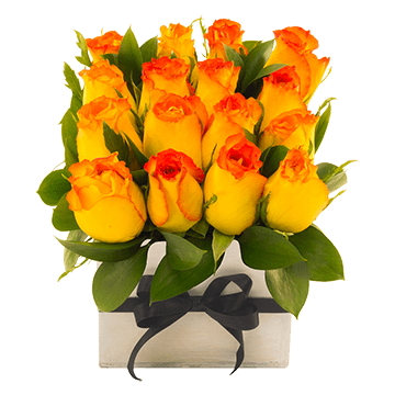 Special Rose Box Arrangement with Green Ruscus & Ribbon Tuxedo | GlobalRose