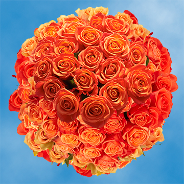 Orange Roses Sale | GlobalRose