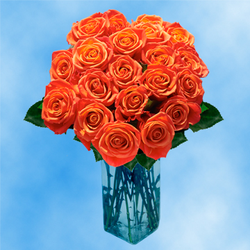 Orange Roses Free Valentine's Day Delivery Service | GlobalRose