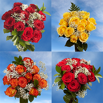 Order Dozens of Red and Assorted Colors of Roses | GlobalRose